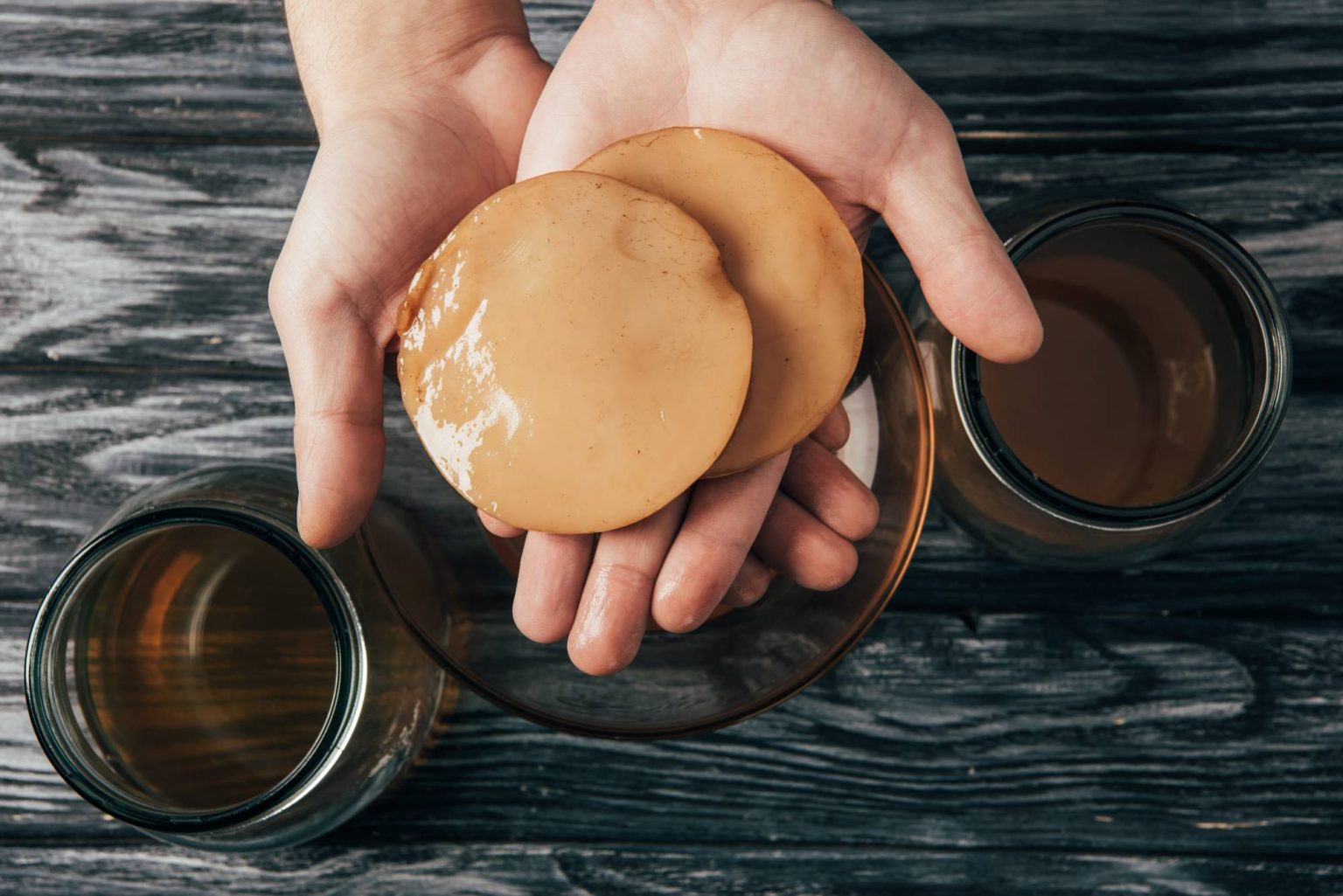Qu'est-ce qu'un SCOBY de kombucha ? - Kombucha ancestral